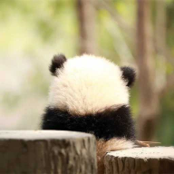 如何让 Windows Vista 在停止支持后继续接收更新 - DivineEngine